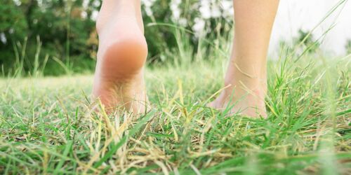 Barefoot hiking route: get back to nature | DB Regio Bayern
